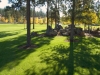 Botanical Development - Landscape design solutions in Bend OregonBotanical Developments ...