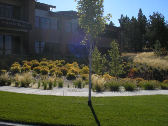 Maintenance - Botanical DevelopmentsBotanical Developments