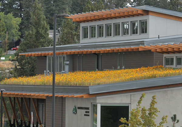 Construction - Botanical DevelopmentsBotanical Developments