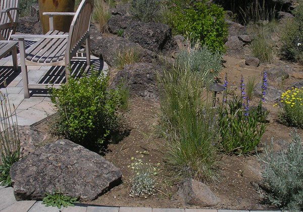 Construction - Botanical DevelopmentsBotanical Developments