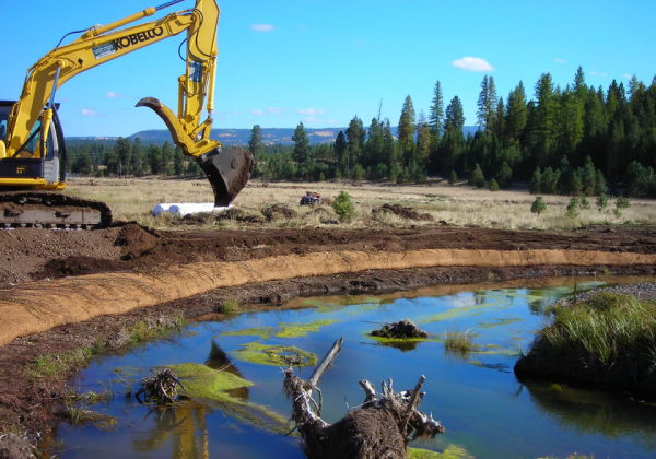 Habitat Restoration - Botanical DevelopmentsBotanical Developments