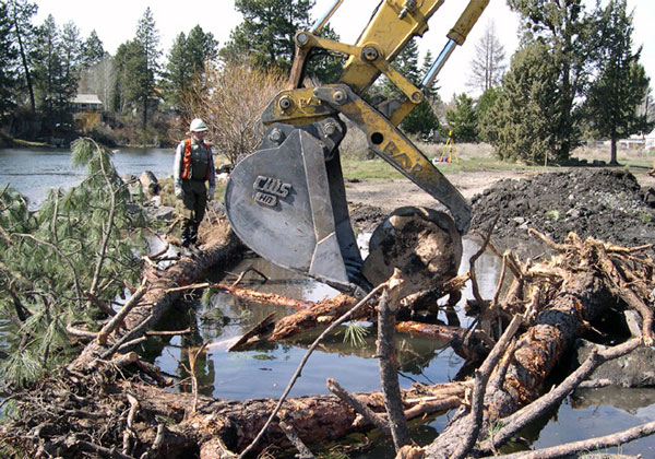 Habitat Restoration - Botanical DevelopmentsBotanical Developments