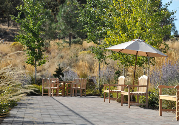 Landscape Architecture - Botanical DevelopmentsBotanical Developments